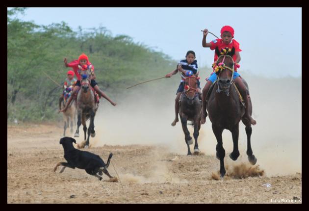 Tierra wayuu: tradición, sabor y arte - Le forum de Darloup sur la Colombie